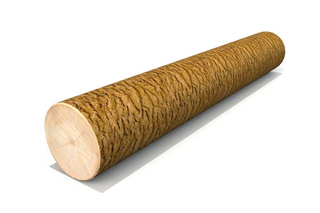 Tree Trunk Bench - A E Evans